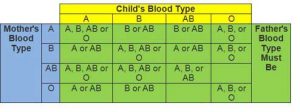 Using Blood Types to Confirm a Child’s Father